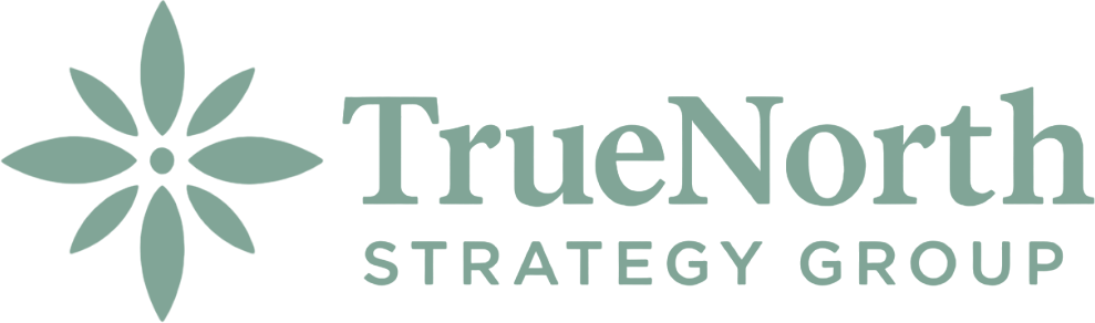 Home - TrueNorth Strategy Group